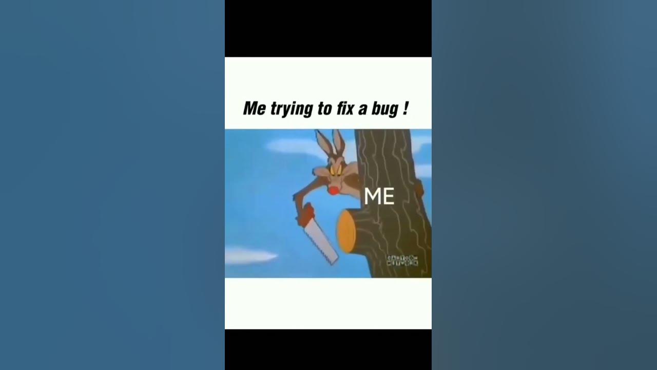 Programming memes -- coding memes -- bug -- programmers -- coder ... Programming memes -- coding memes -- bug -- programmers -- coder ...