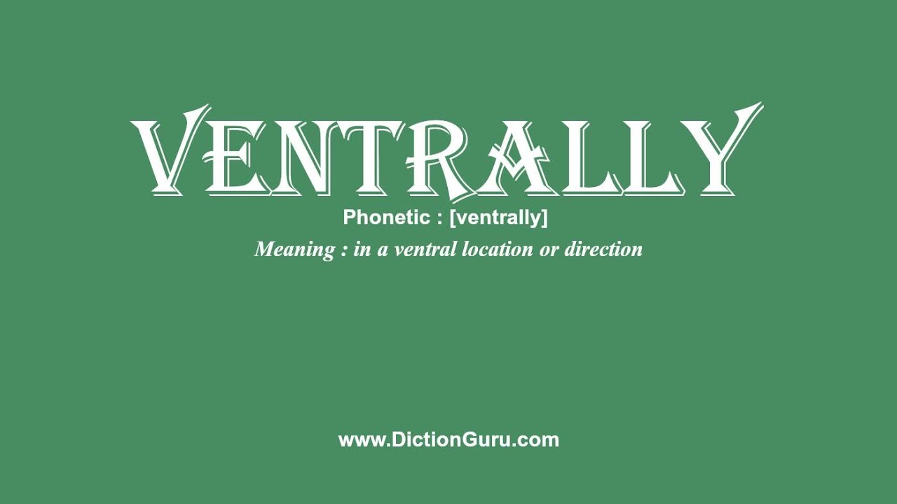 How to Pronounce ventrally with Meaning, Phonetic, Synonyms and ...