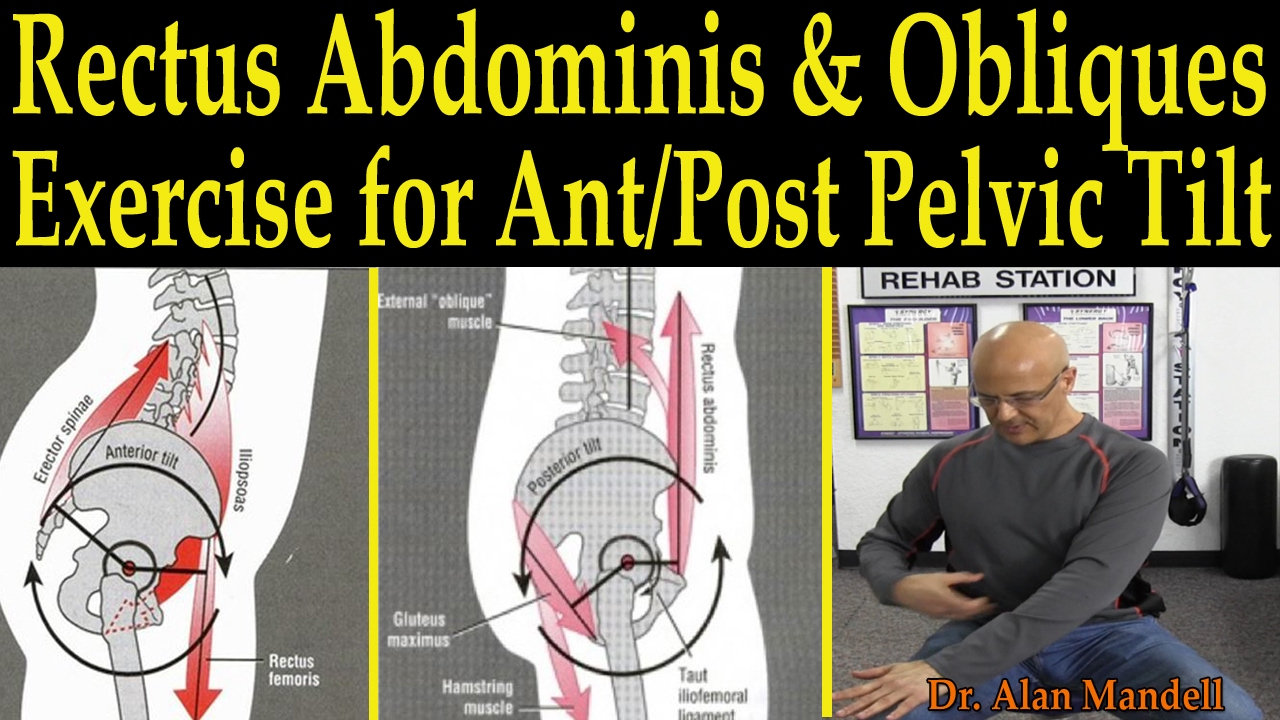 Rectus Abdominus and Obliques (Core) Exercise for Anterior and ...