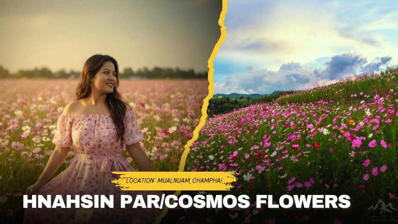 Mizoram a pahcha gimnei pen ! Hnahsin pahcha vetna - YouTube