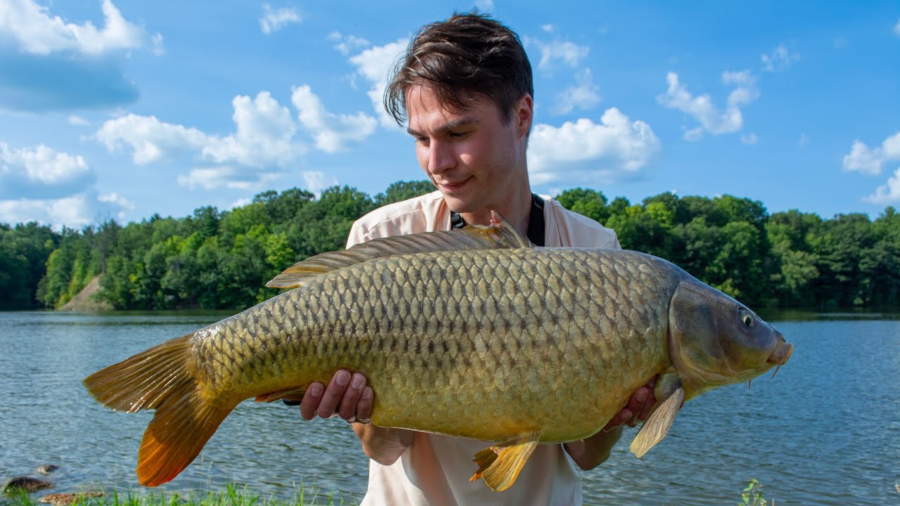 U.S. River Carp Fishing - A Wild Water Adventure - YouTube