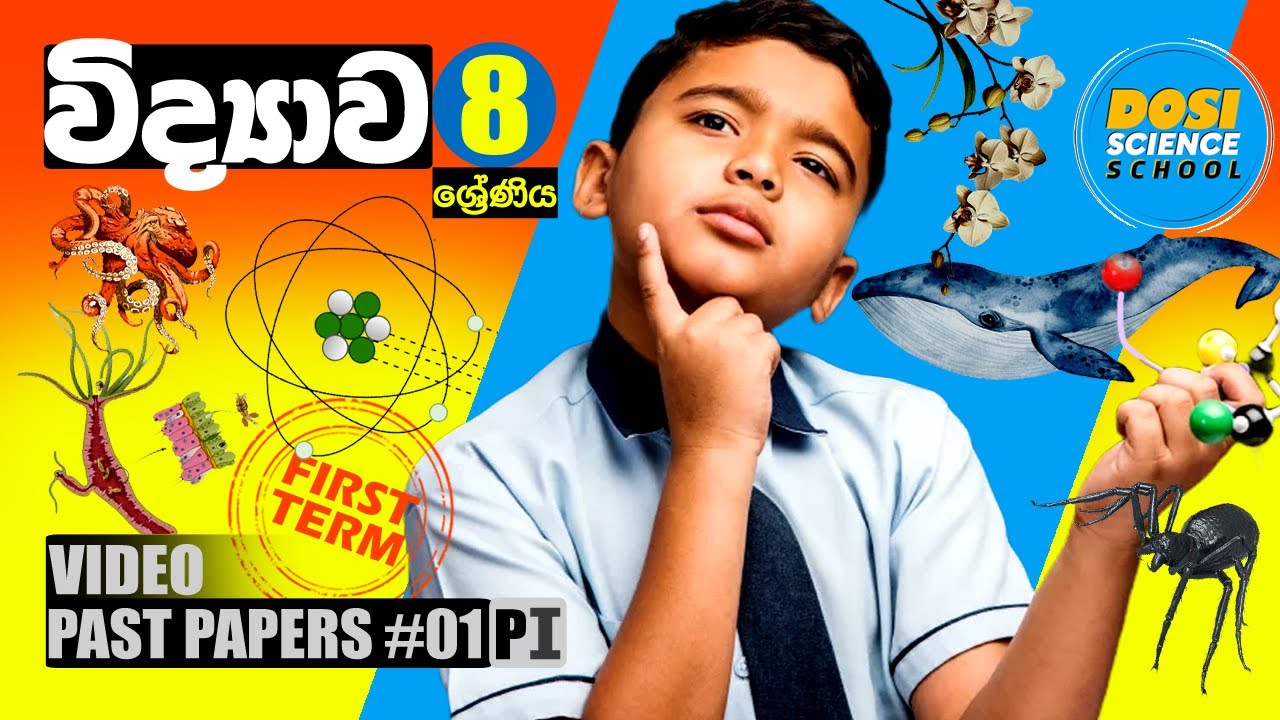 Grade 8 Science | 8 ශ්‍රේණිය විද්‍යාව -වයඹ පළාත- පළමු වාර විභාග ප්‍රශ්න ...