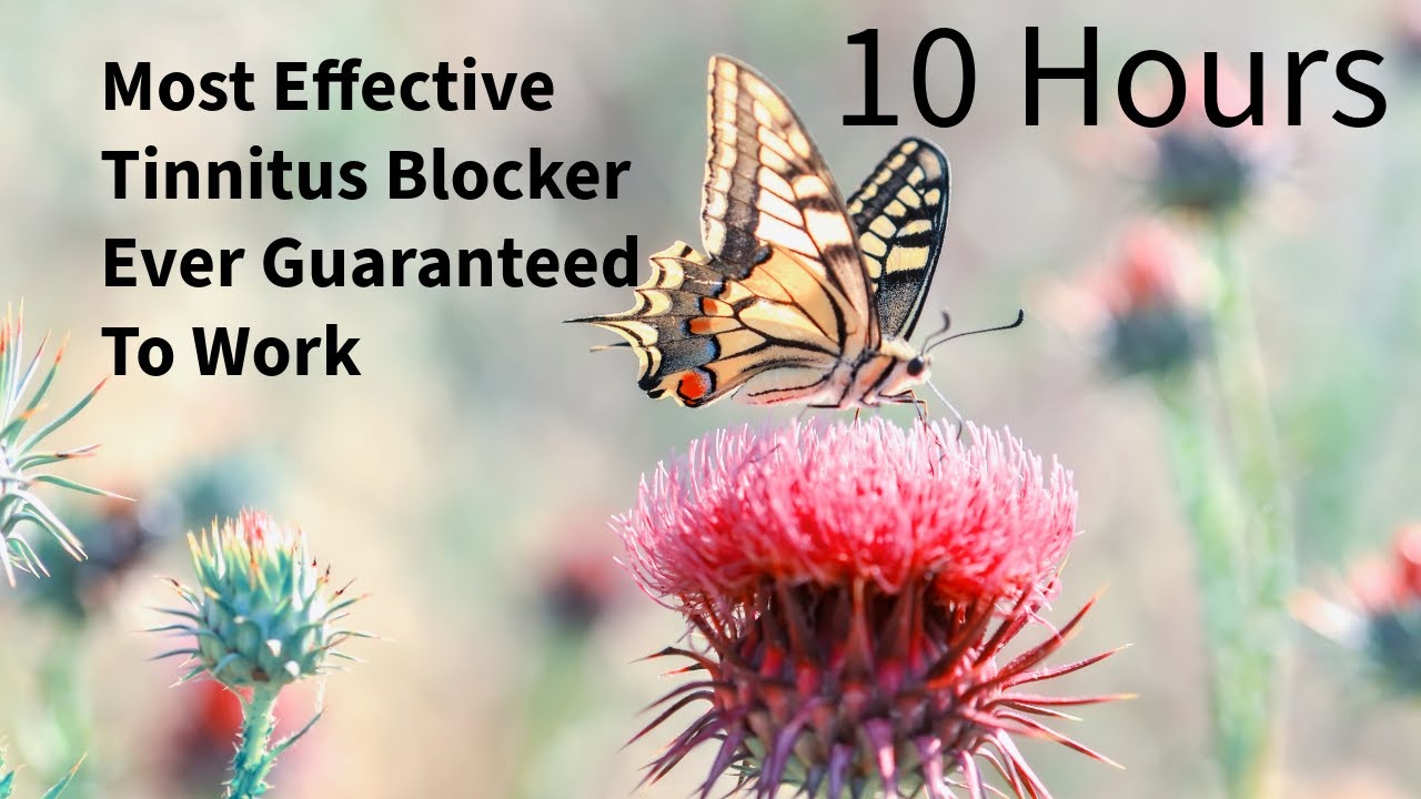Most Effective Tinnitus Blocker Ever Guaranteed To Work - Tinnitus ...