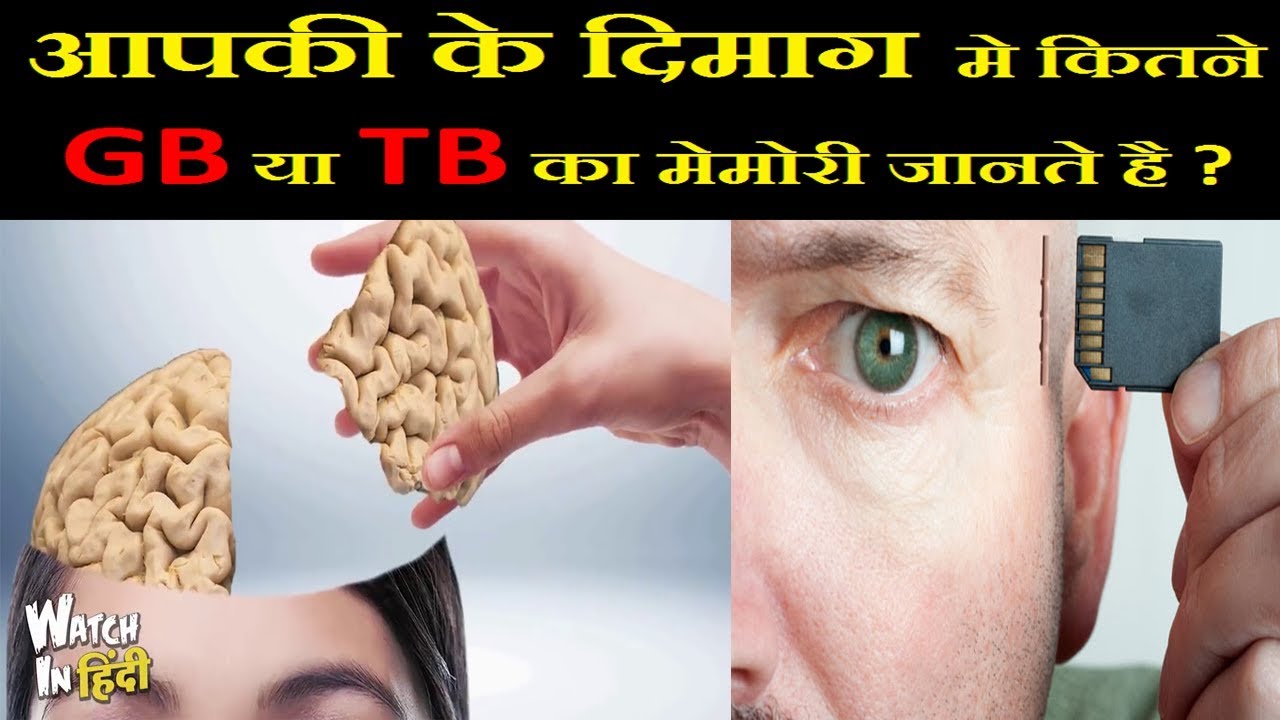 कितनी GB की बनी मानव ब्रेन ? Store Capacity human Brain interesting ...