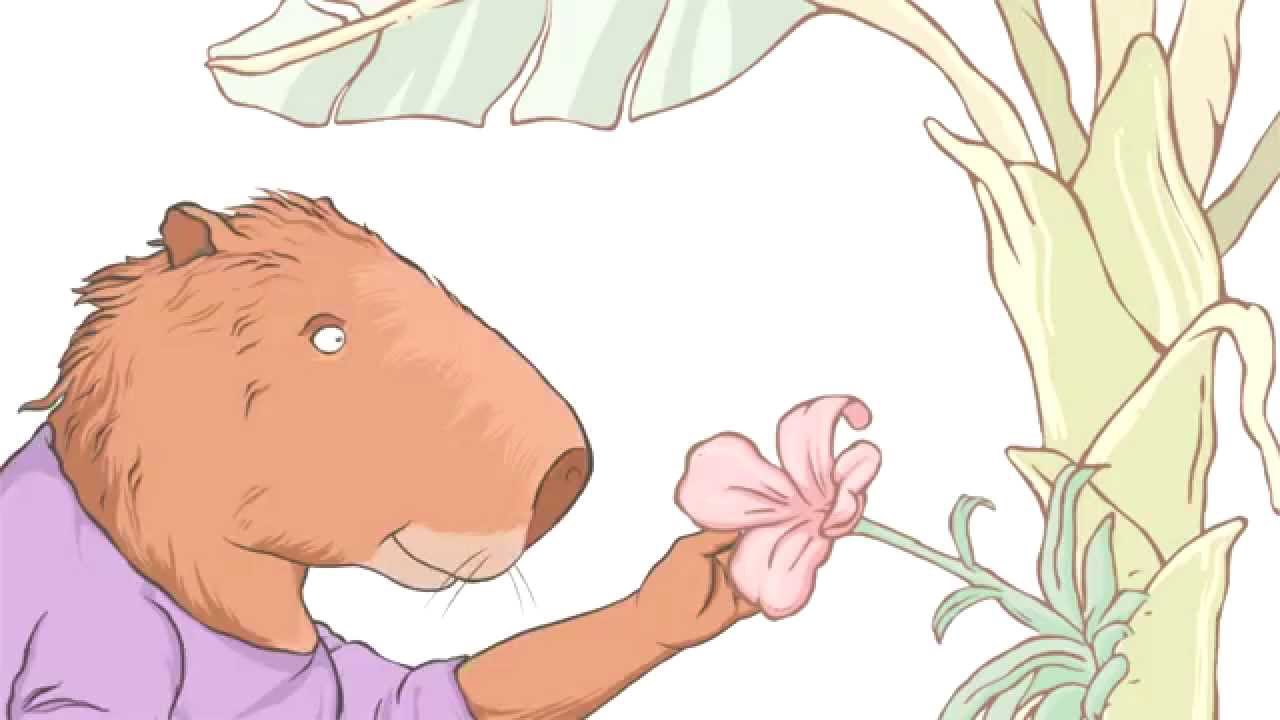 CHIGÜIRO - Capítulo 18: Chigüiro hace un regalo - YouTube