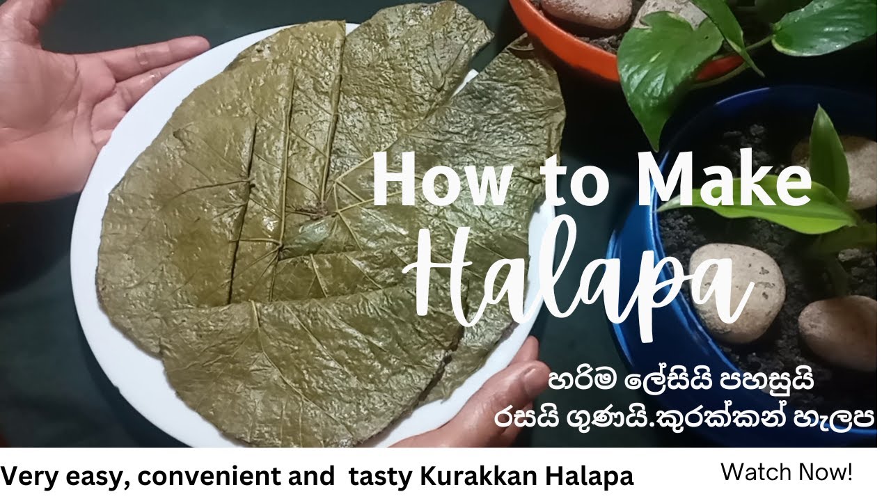 "How to Make Halapa in Sri Lanka"#cookingchanne#chef|Freeze Dried ...