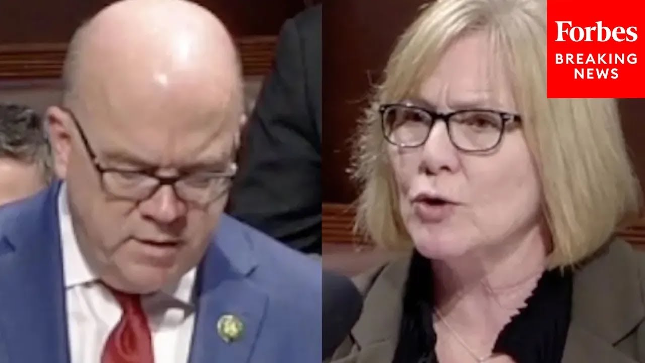 Michelle Fischbach Clashes With Democrats Over GOP's Short-Term ...