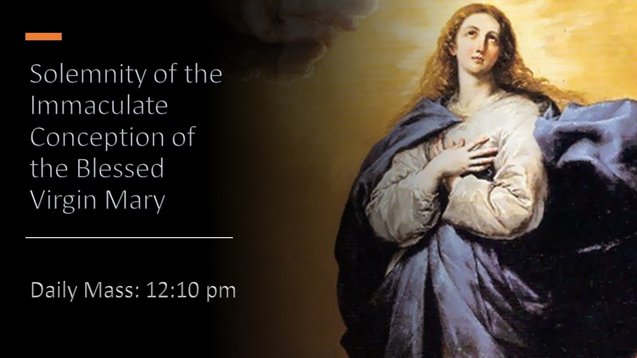 The Solemnity of the Immaculate Conception of the Blessed Virgin Mary ...