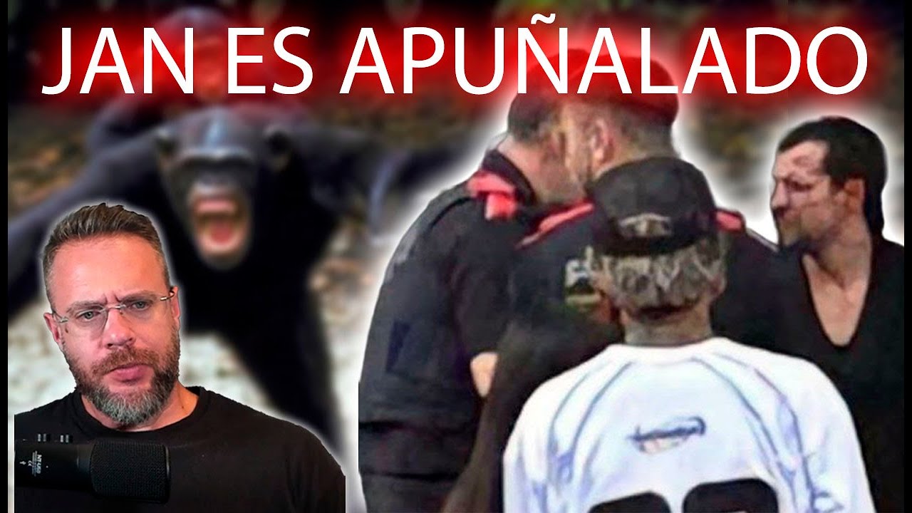 CASI MATAN A JAN SIN MIEDO - CUCHILLAZOS Y PEDRADAS EN LA CABEZA - YouTube