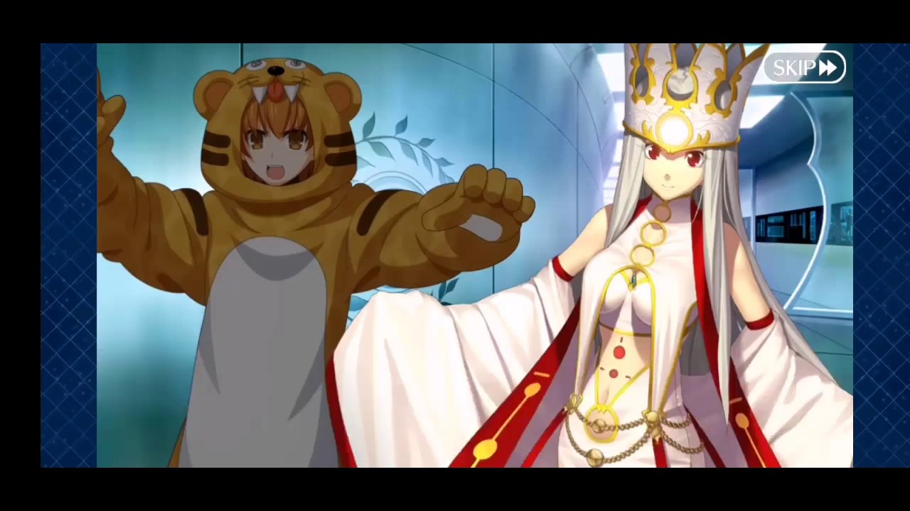Emiya Assassin Interlude Fgo Na Youtube 6667