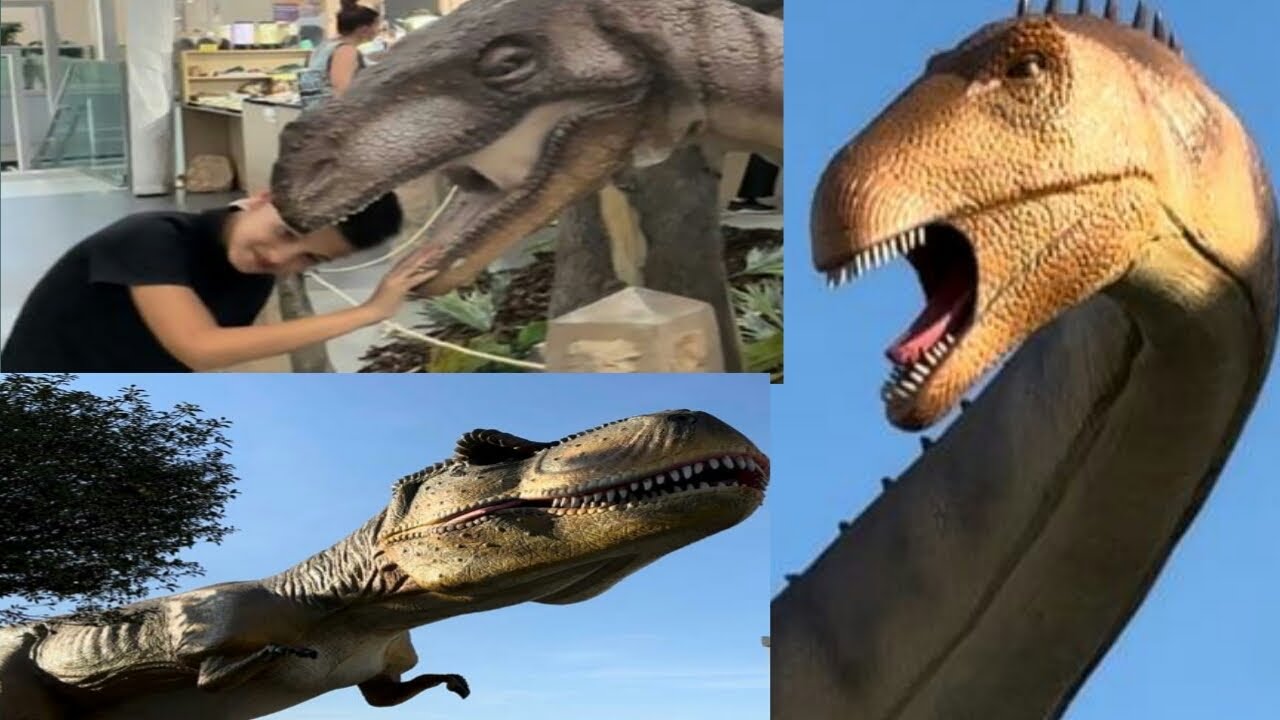 DinoPark KÖKI Budapest 2023 | Fun Place with Dinosaurs | Dinosaurs Park ...