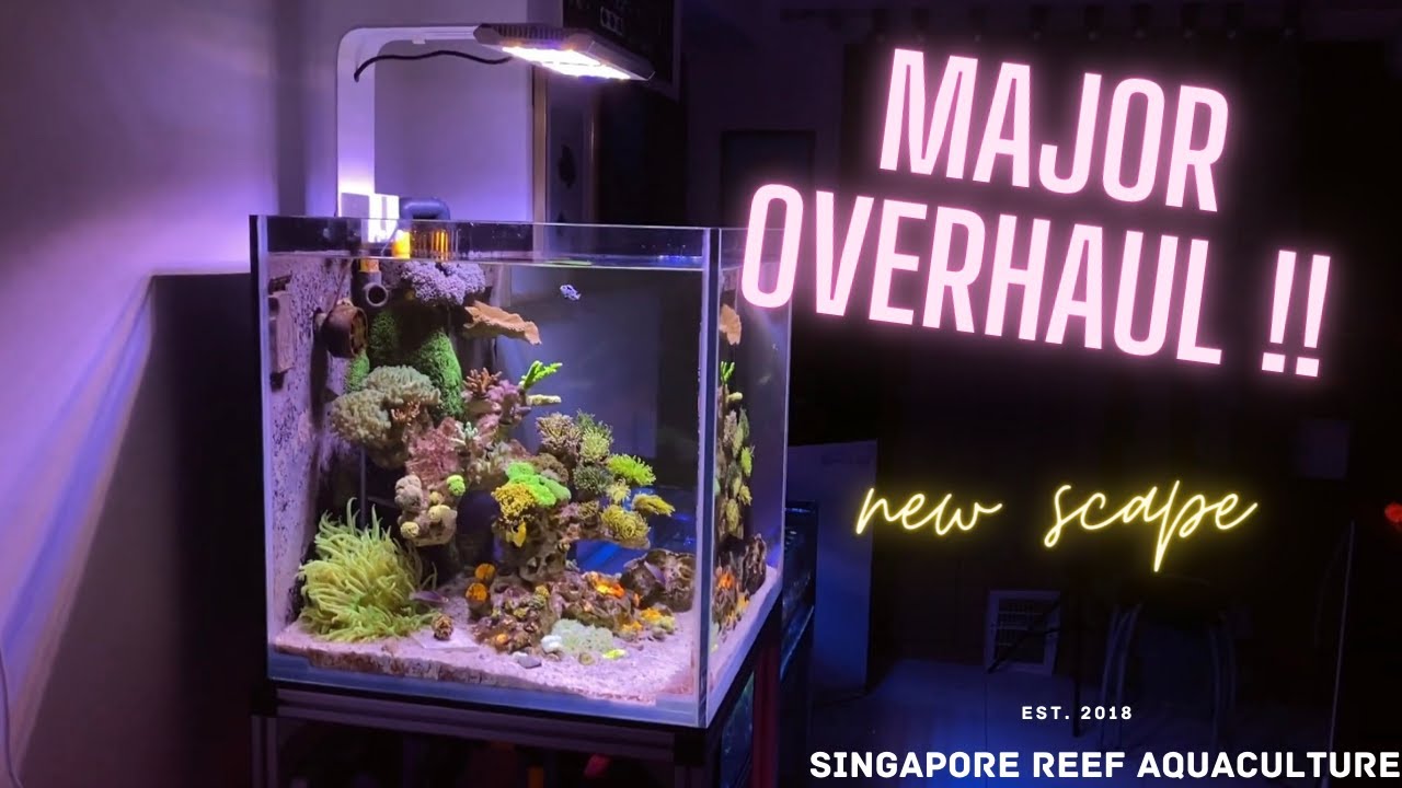 MAJOR OVERHAUL FOR THE COVID TANK !!! - YouTube