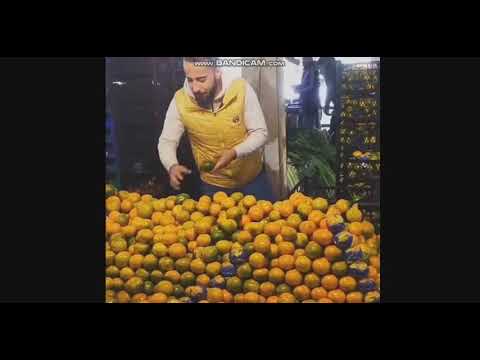 vay deli kanlı gönlüm mandelinacı