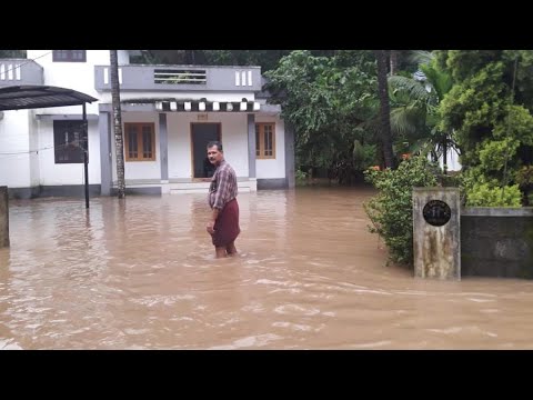അശാസ്ത്രീയ തടയണ; മഴ കനത്താല്‍ എലോക്കരക്കാര്‍ വെള്ളത്തില്‍; ദുരിതം ...