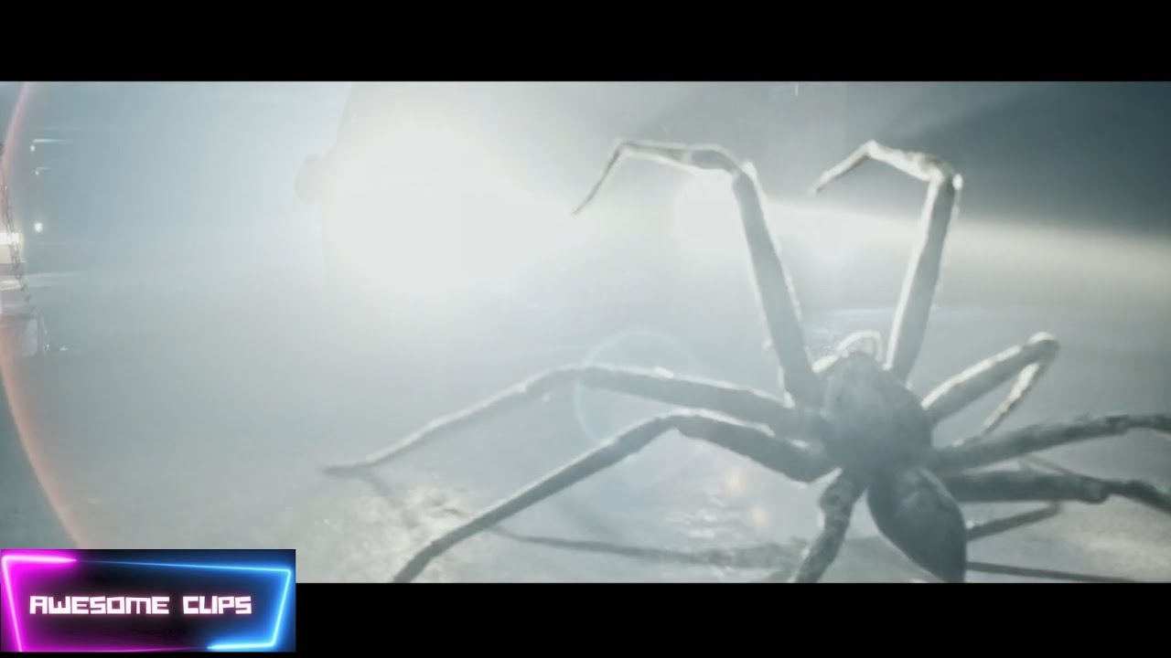 GIANT SPIDER IS AFTER YOU - INFESTED MOVIE CLIP #vermines #infested # ...