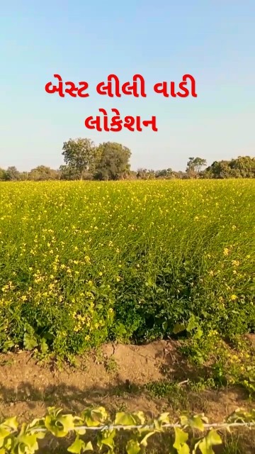 Best Lili vadi lokeshan - YouTube