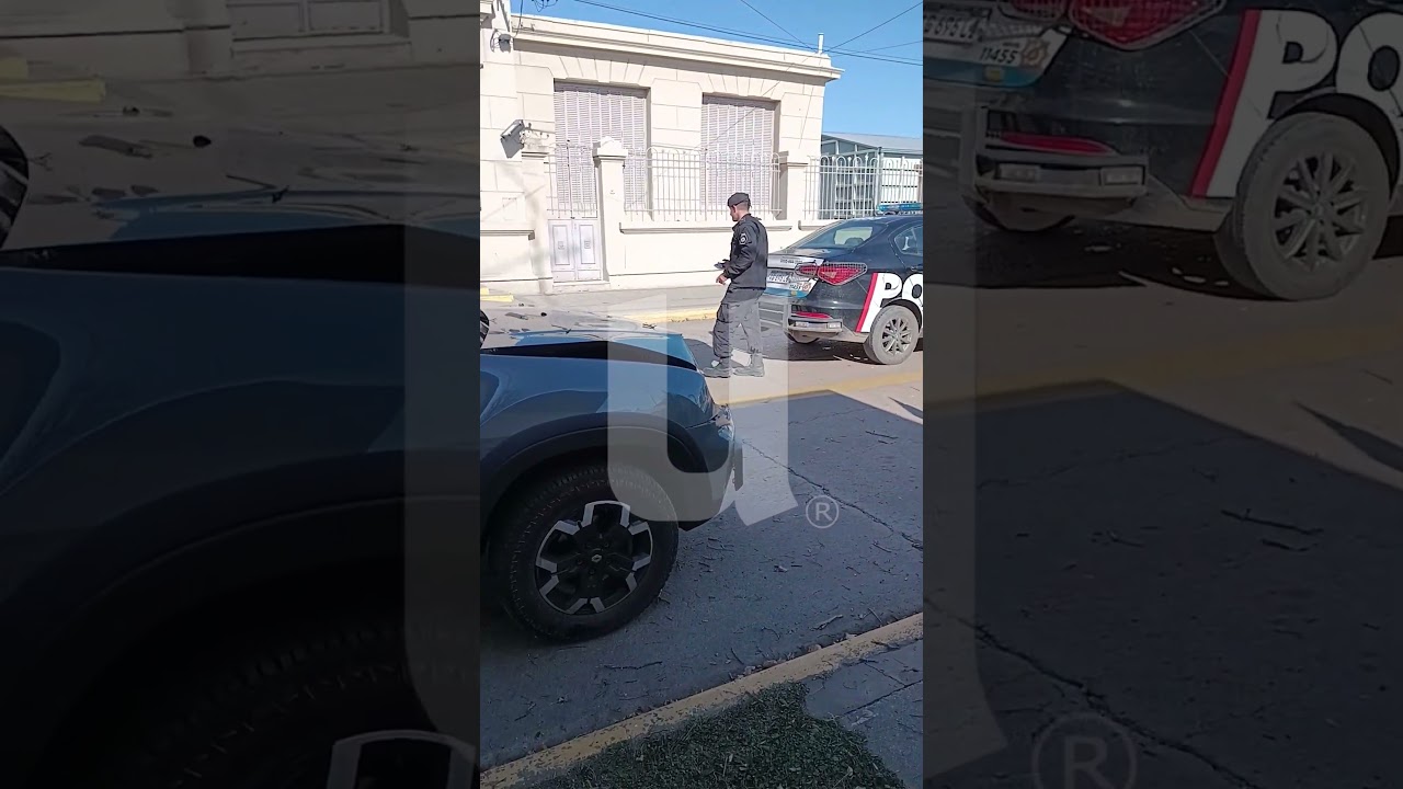 Chocó contra un árbol