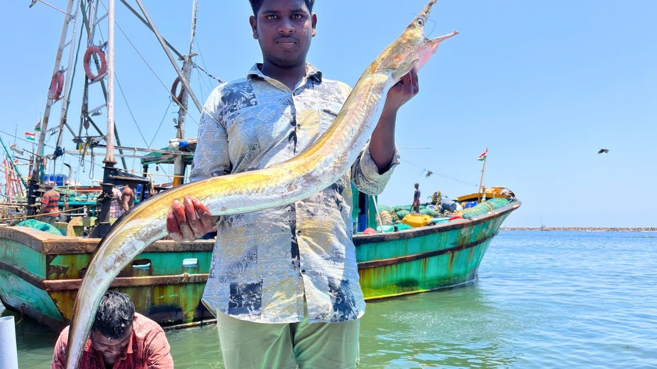 BACK TO BACK CAUGHT BY AARA FISH IN DEEP SEA | MEENULAGAM 🦈 - YouTube