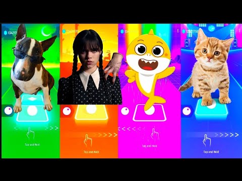 Cute Dog - Waka Waka VS Wednesday VS Skibidi Dom Dom VS Cute Cat Bongo ...