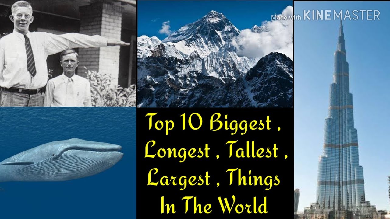 Top 10 biggest , largest , tallest things in the world - YouTube
