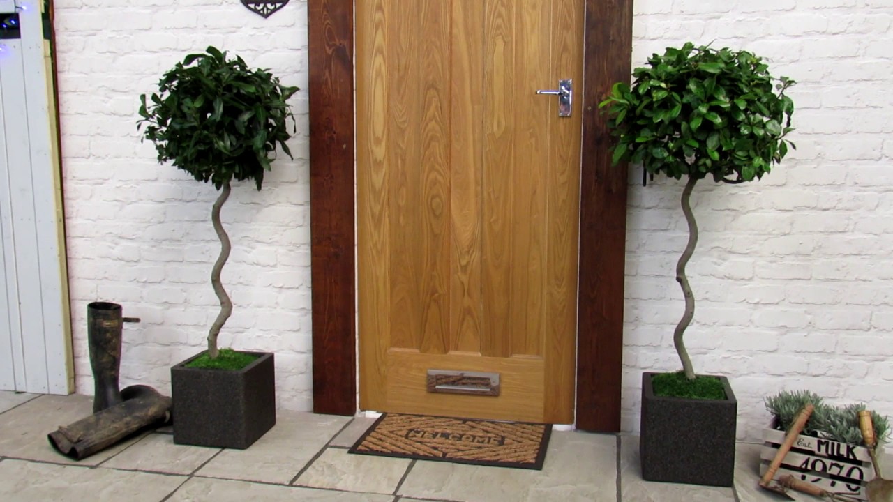 Bay Tree Corkscrew 4ft Laurus Nobilis (Complete) - YouTube
