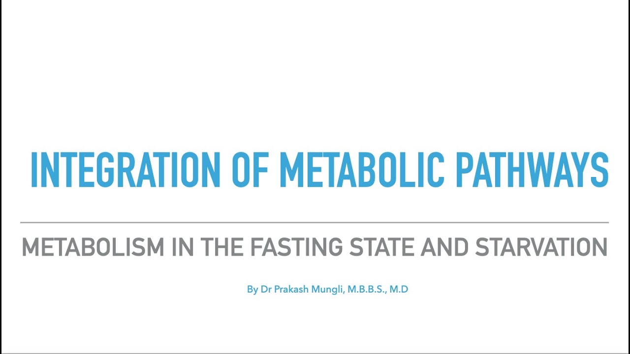 Integration of Metabolic Pathways in the Fasting State and during ...