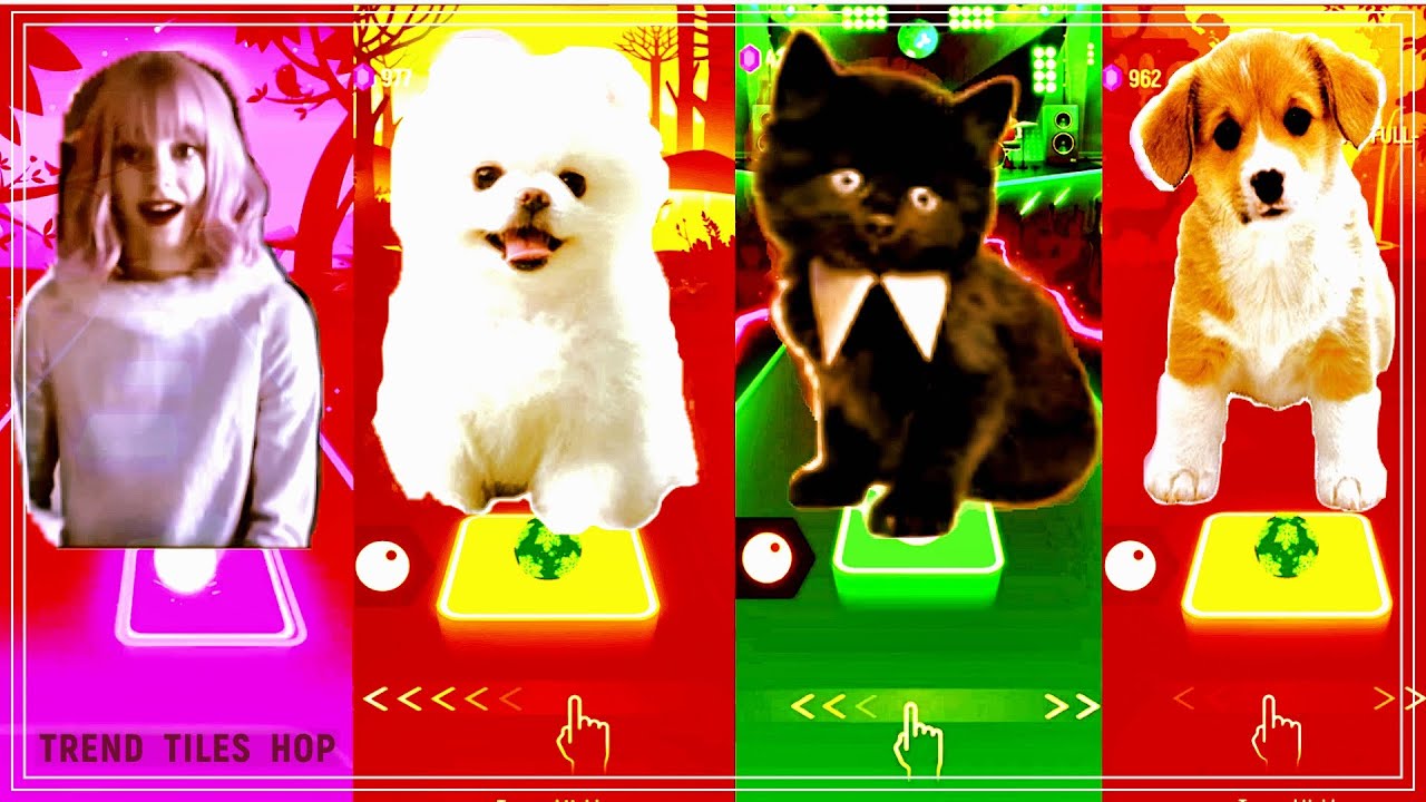 CUTE CAT Vs CUTE DOG WEDNESDAY Vs BABY SHARK Vs BEAUTIFUL GIRL Vs ...
