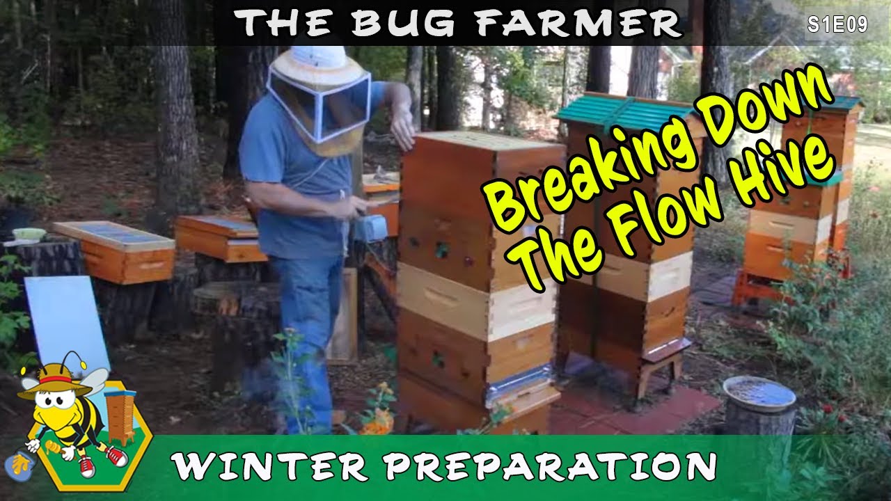 Getting the Flow Hives and the Standard Hives ready for Winter: Adding ...