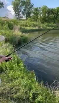 It’s a turtle #bass #country #fish #fishing #new #fyp - YouTube