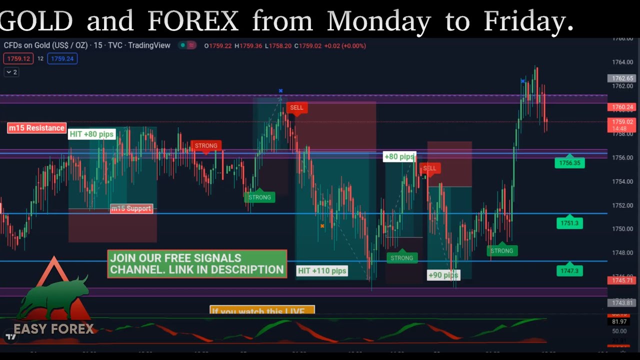 GOLD Live Forex Trading Signals Today #xauusd #gold #forex - YouTube