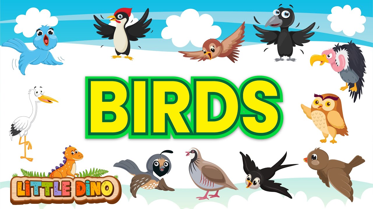 🐦📚Feathered Friends: Explore Bird Vocabulary with Little Dino Kids ...