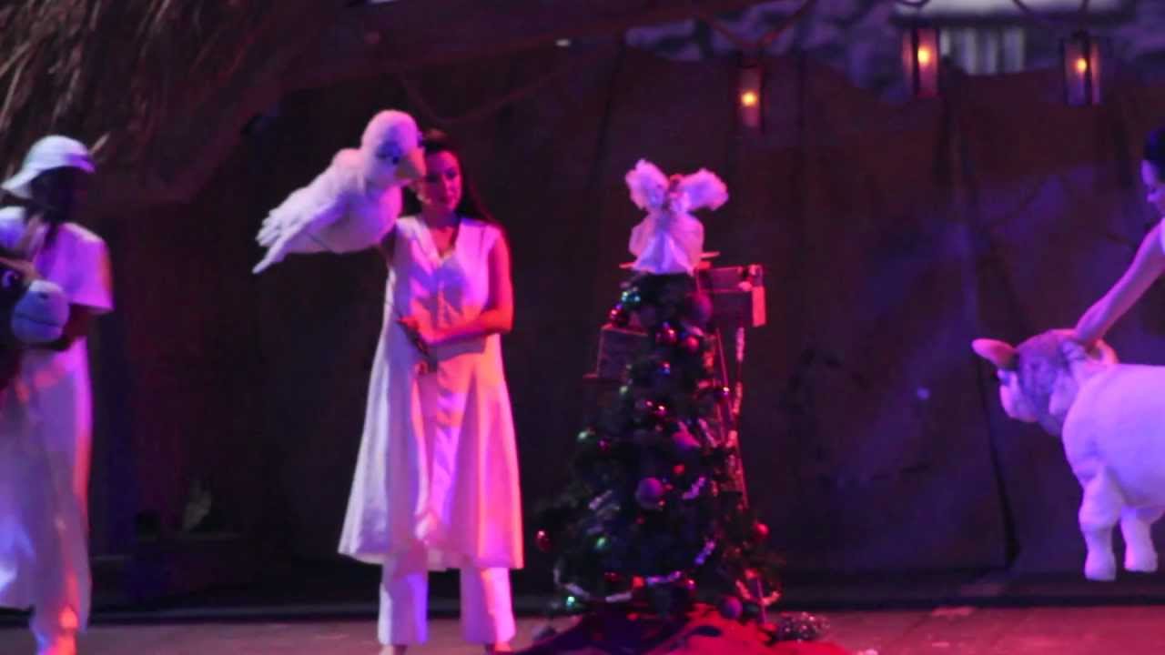 O Wondrous Night SeaWorld® Orlando HD Full Length - YouTube