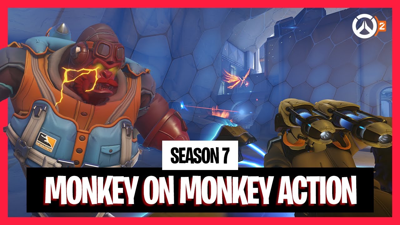 Monkey On Monkey Action [] Winston on Watchpoint: Gibraltar (Overwatch ...