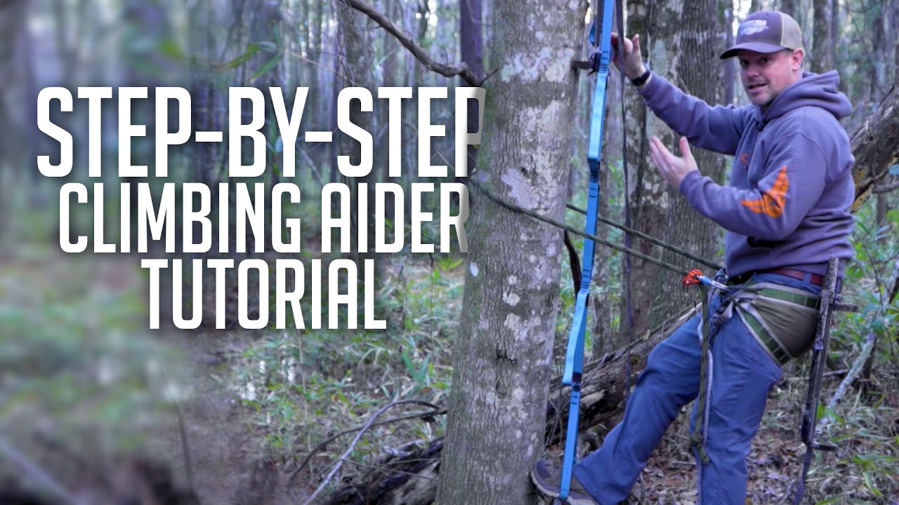 How to Climb a Tree using AIDERS - YouTube
