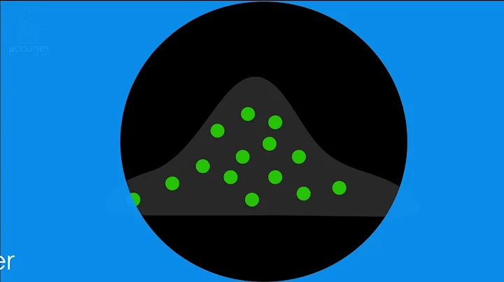 Solved Why Is Filter Paper Fluorescent 9to5Science solved-why-is-filter-paper-fluorescent-9to5science
