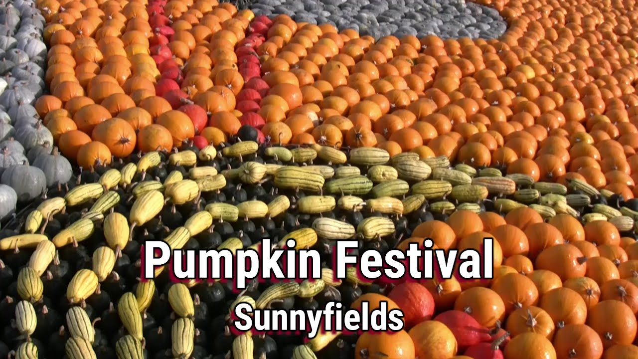 Sunnyfields Incredible Pumpkin Festival UK - YouTube