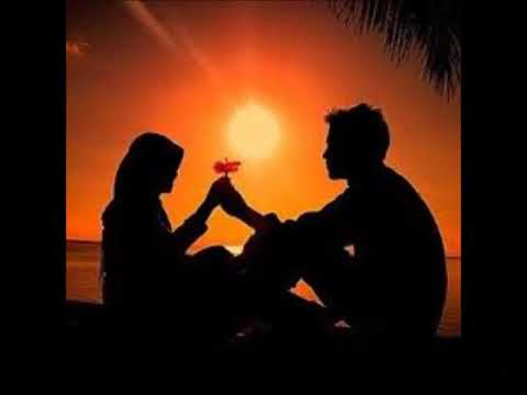 Whastapp ucun status Dido