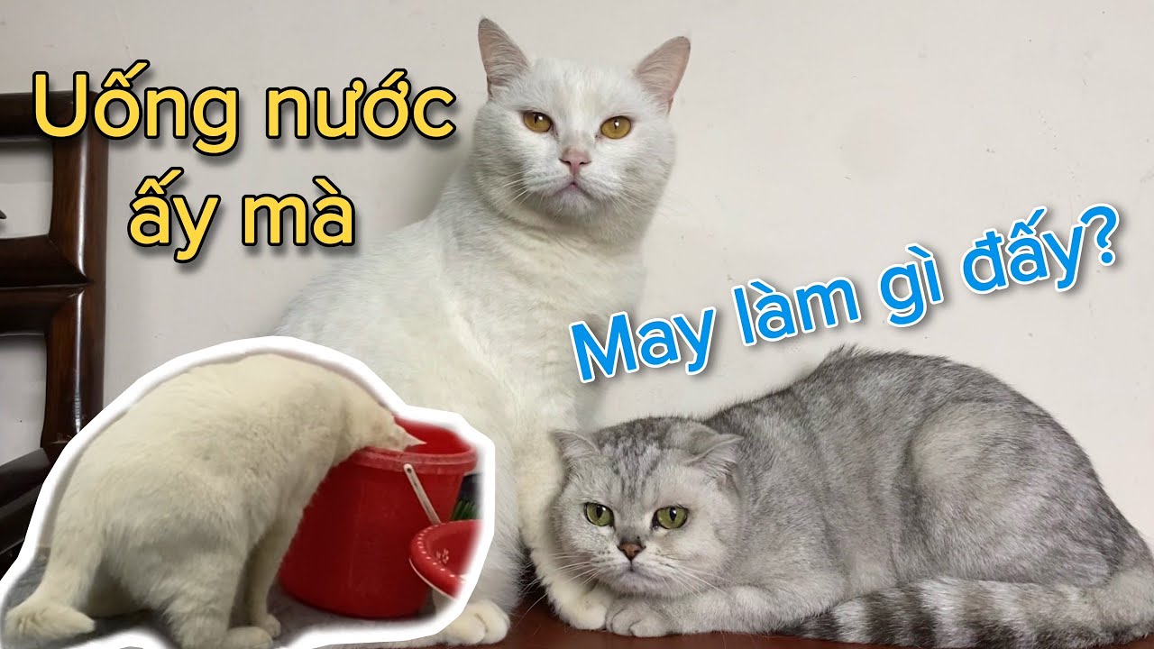 Một đêm thức trắng cùng May và July | maly.gaugau - YouTube