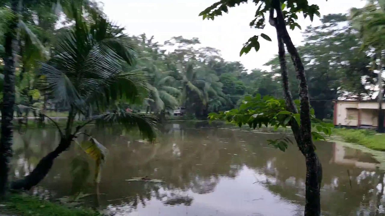 Beautiful Noakhali | নোয়াখালীর সৌন্দর্য | Beautiful Bangladesh - YouTube