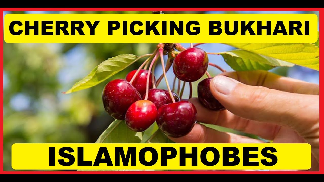 David wood Can I believe Bukhari? Not when he tells the truth. Speakers ...