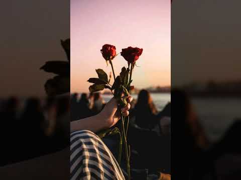 Maraqli mahnilar- Teki cananin cani sag olsun-