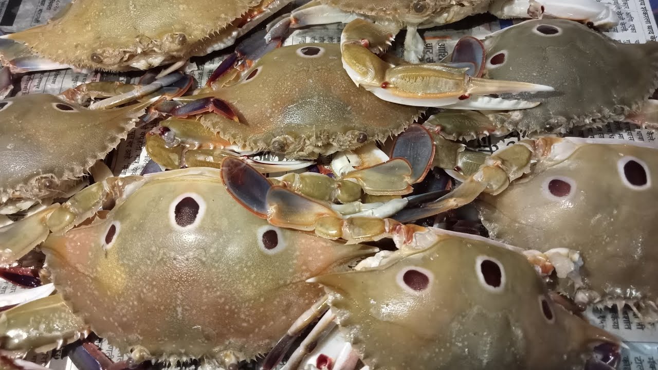 khekda recipes कुठेही न पाहिलेली खेकडा बनवण्याची खूपच सोपी पद्धत आणि ...