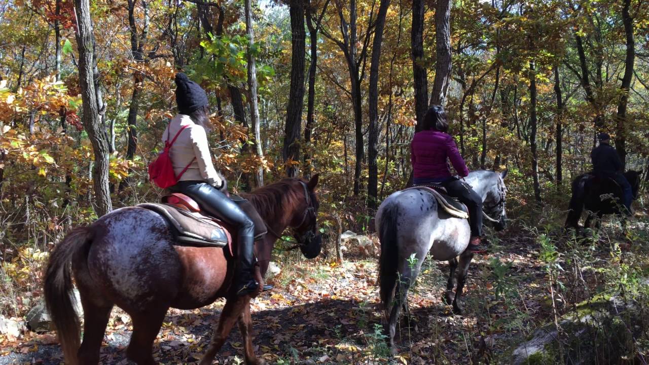 4K Ultra HD Horseback Riding at Echo Lake Stables - 10/23/2016 - YouTube
