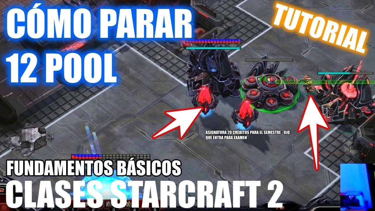Cómo parar 12 pool rush Zerg - Clases y fundamentos básicos Starcraft 2 ...
