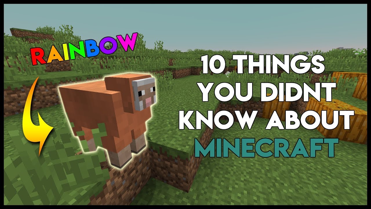 Minecraft | 10 things You Didnt Know About Minecraft - YouTube
