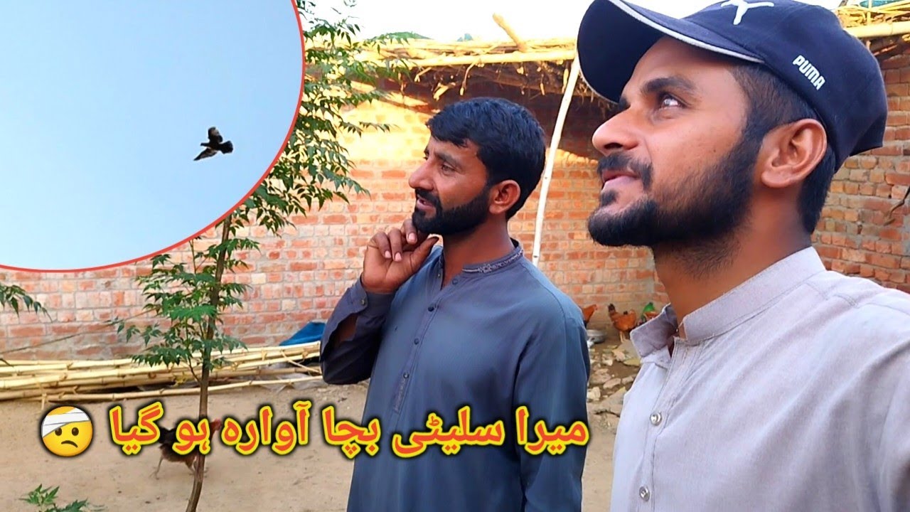 Mera Sleti Bacha Awara Ho Gia🤕 - YouTube