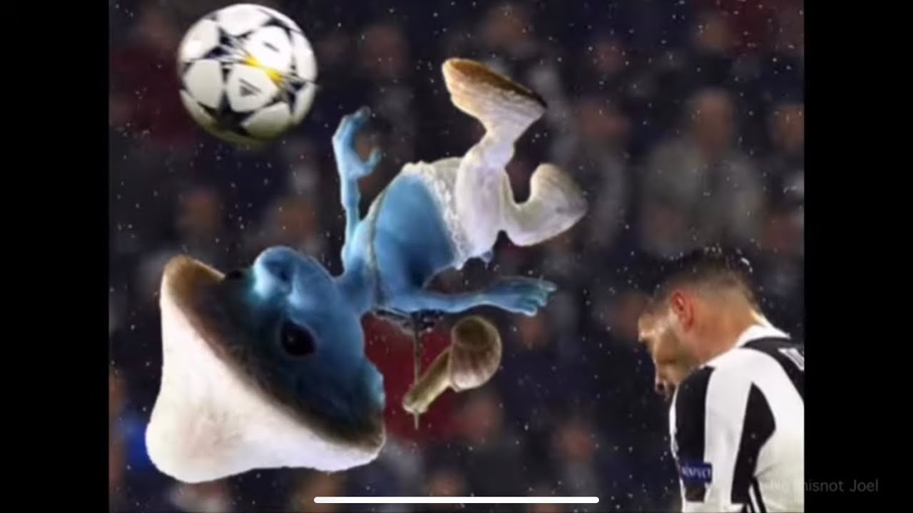 Goofy ahhh gameplay - YouTube