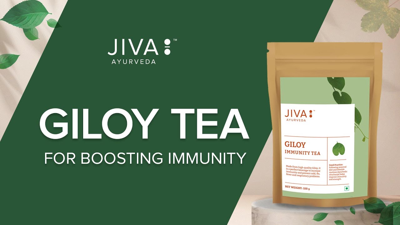 Benefits of Giloy Tea | Jiva Products - YouTube