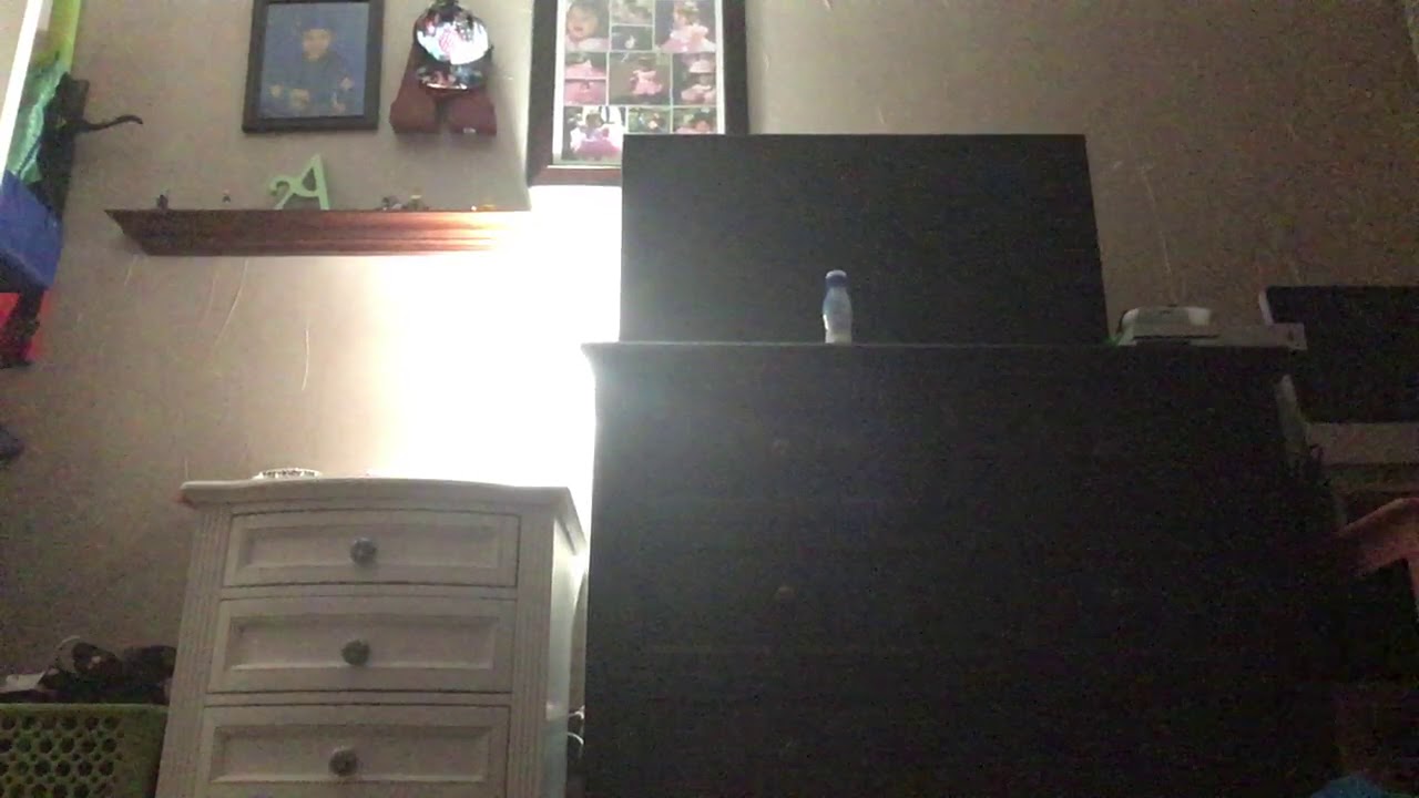 Showing you my Mr. paws backpack 🎒 from inquisitor master - YouTube