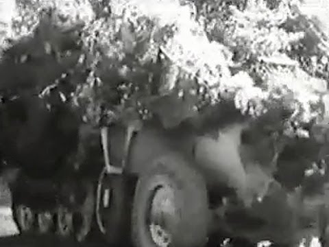 German WWII Sdkfz 251 Halftrack & Interior Driver Station - YouTube